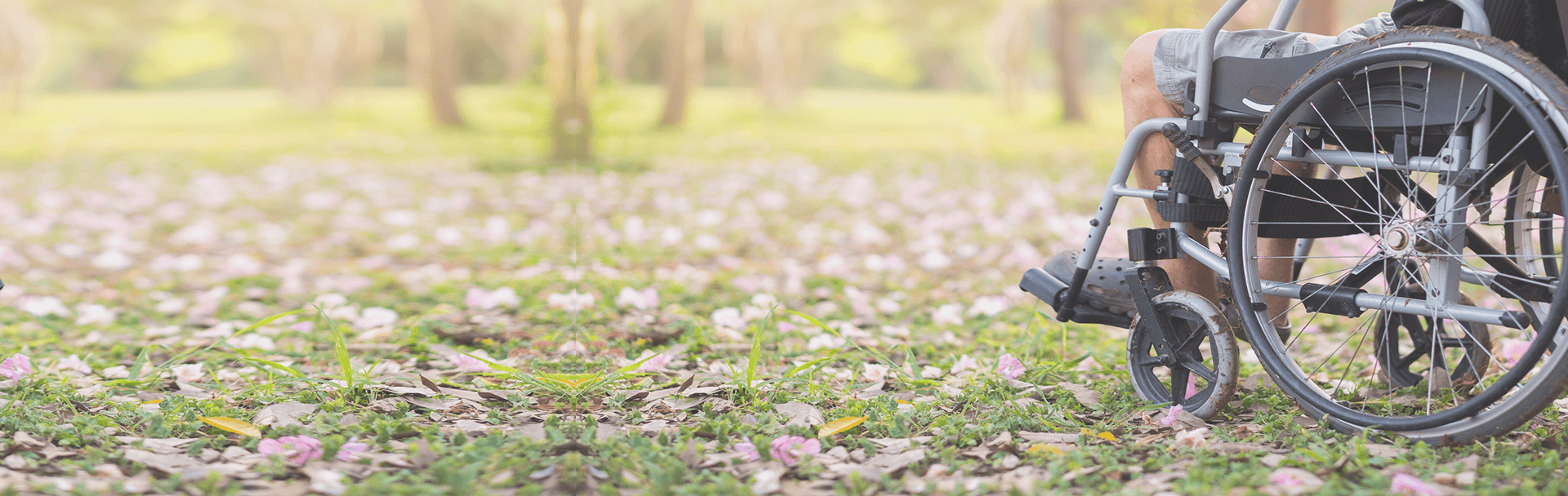 3W Healthcare – Improving health care and mobility through innovative ...